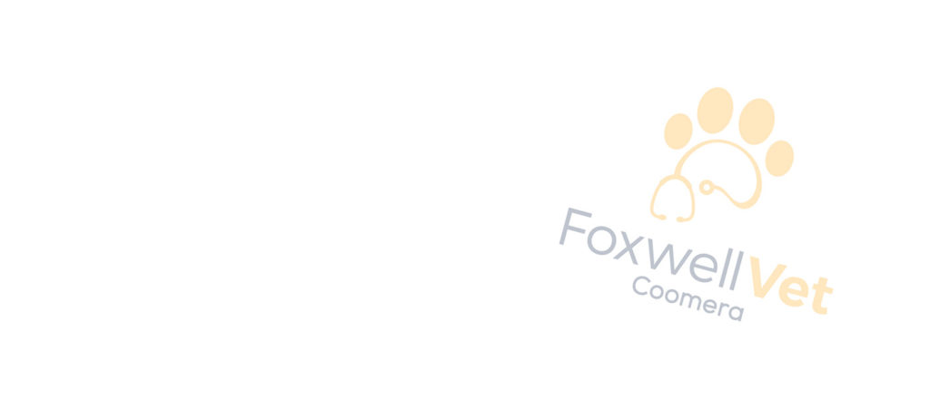 Universal Profile Picture | Foxwell Vet Coomera