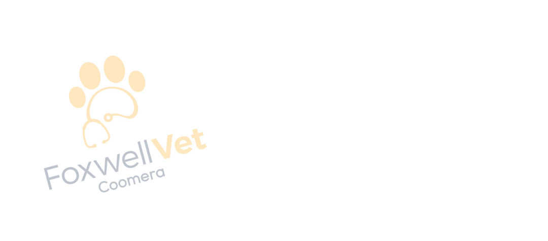 Universal Profile Picture | Foxwell Vet Coomera